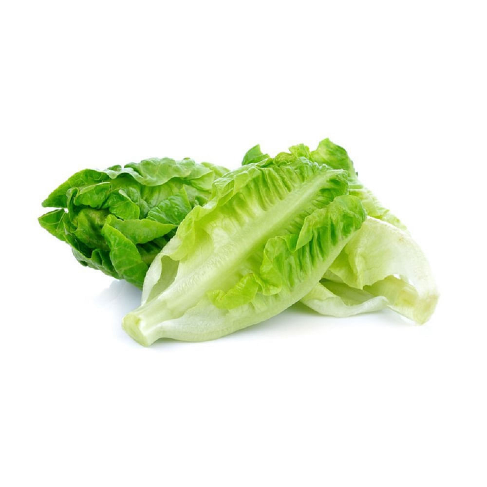 LECHUGA VARIAS XKG
